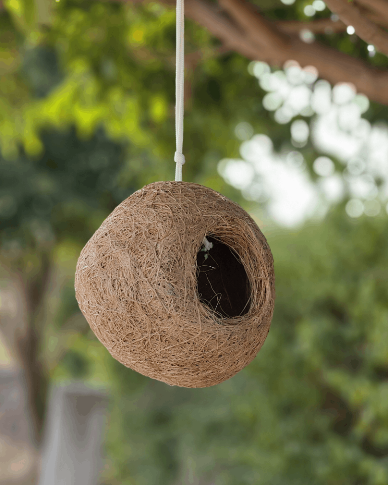 Eco-Friendly Coconut Coir Birdhouses | BirdsHomes India