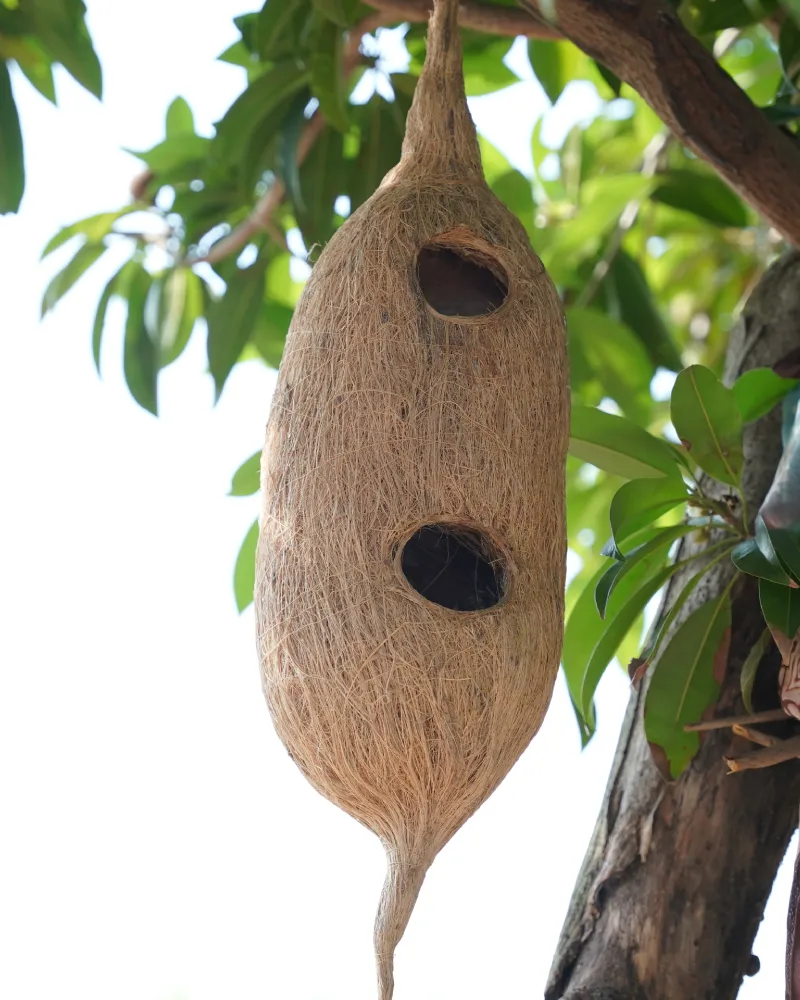 Twin Chamber Round Coconut Coir Bird Nest | Handmade Eco-Friendly Birdhouse