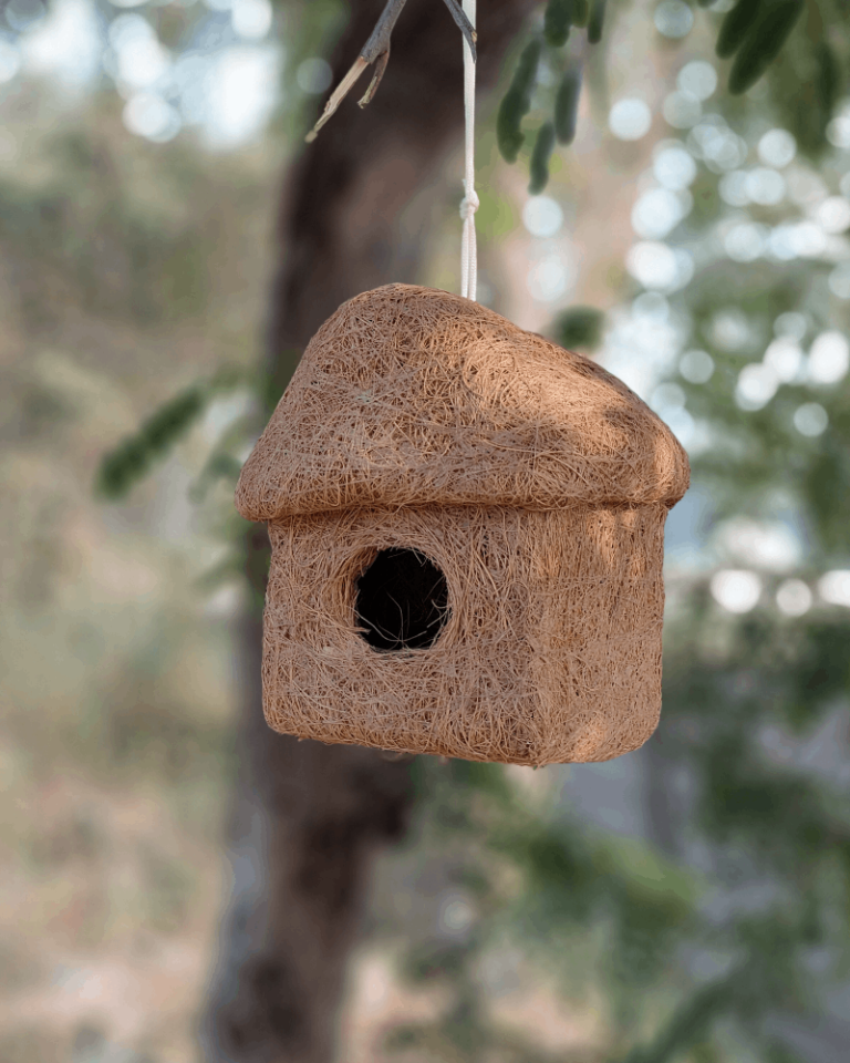 Eco-Friendly Coconut Coir Birdhouses | BirdsHomes India