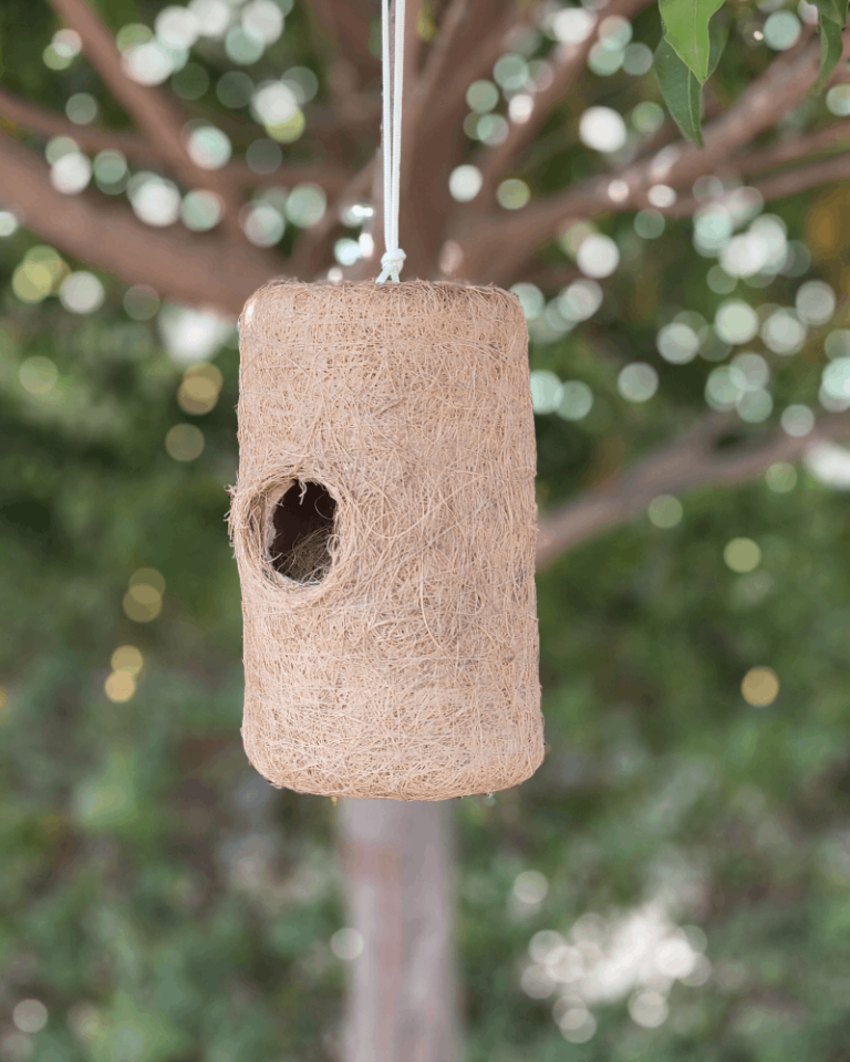 Single Chamber Birdhouses - BirdsHomes