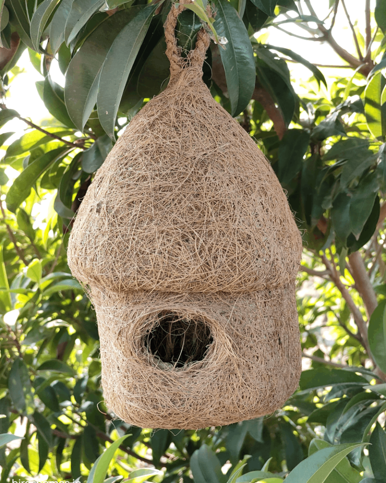 Eco-Friendly Coconut Coir Birdhouses | BirdsHomes India