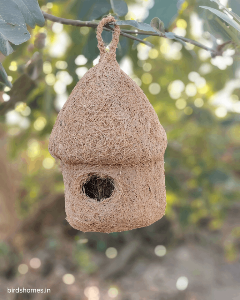 Eco-Friendly Coconut Coir Birdhouses | BirdsHomes India
